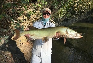 Fly Fishing For Musky | Musky Fishing | Southeast Fishing Guide in WNC