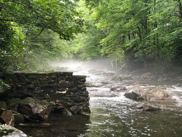 SAA: Fly Fishing Guide | Asheville, NC | Guided Fishing Trips WNC